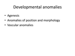 hepatobiliary imaging anatomy, Radiology | PPTX