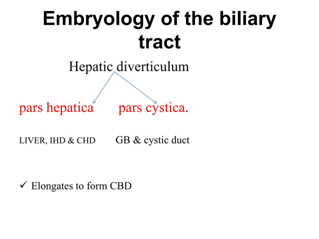 hepatobiliary imaging anatomy, Radiology | PPTX