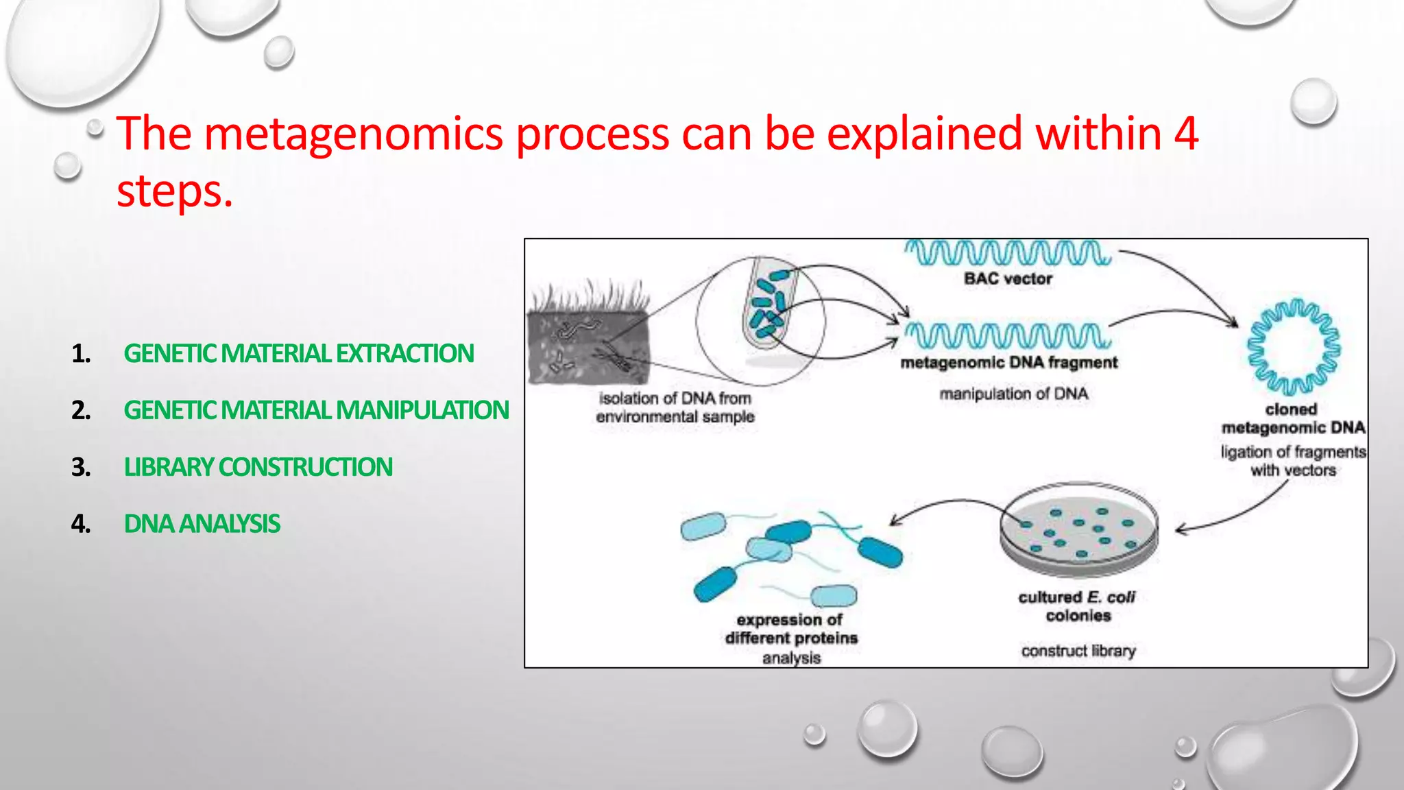 Molecular pathology in microbiology and metagenomics | PPT