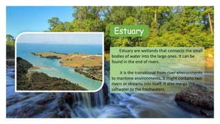 Chapter 4 Water Resource | PPT