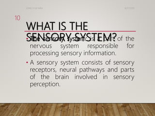 Presentation1-PERCEPTION | PPTX