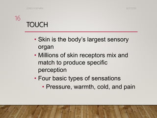 Presentation1-PERCEPTION | PPTX