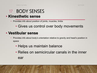 Presentation1-PERCEPTION | PPTX