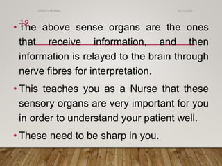 Presentation1-PERCEPTION | PPTX