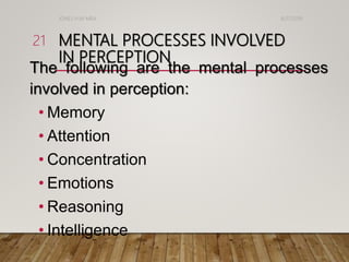 Presentation1-PERCEPTION | PPTX