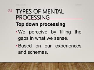 Presentation1-PERCEPTION | PPTX