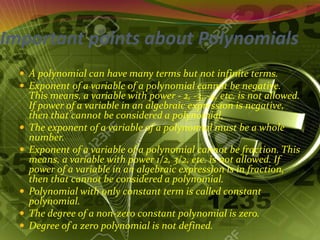 Presentation of Polynomial | PPTX