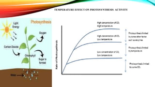 Temperature | PPT