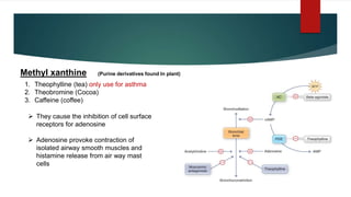Management of asthma | PPTX