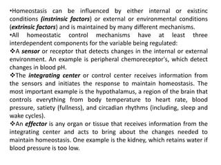 homeostatis | PPTX