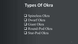 Okra Breeding Techniques | PPTX