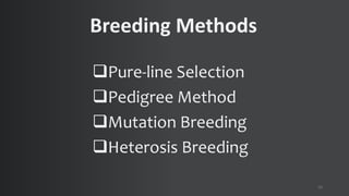 Okra Breeding Techniques | PPTX