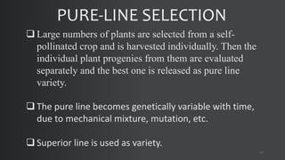Okra Breeding Techniques | PPTX