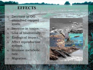 THERMAL & PHOTOCHEMICAL POLLUTION | PPTX