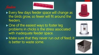organic poultry production by Dr.Huzaifa Younis | PPTX