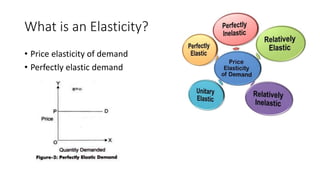 Microecomic Elasticity | PPT
