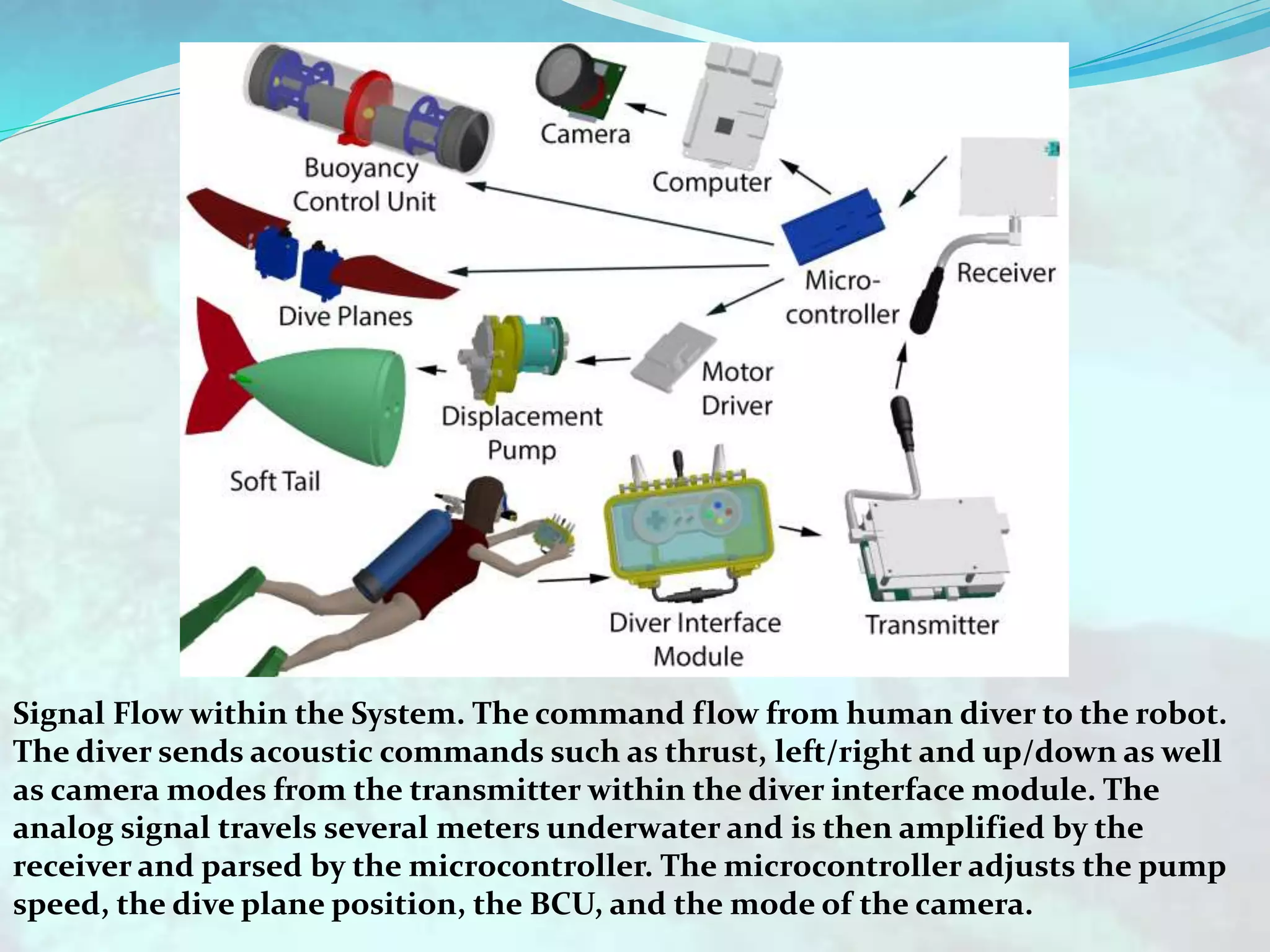 SOFI "The Soft Robotic Fish" | PPTX