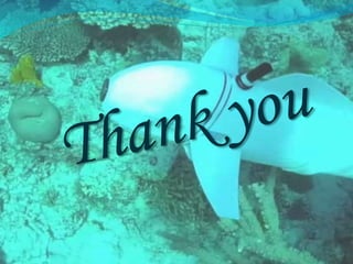 SOFI "The Soft Robotic Fish" | PPTX