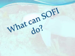 SOFI "The Soft Robotic Fish" | PPTX