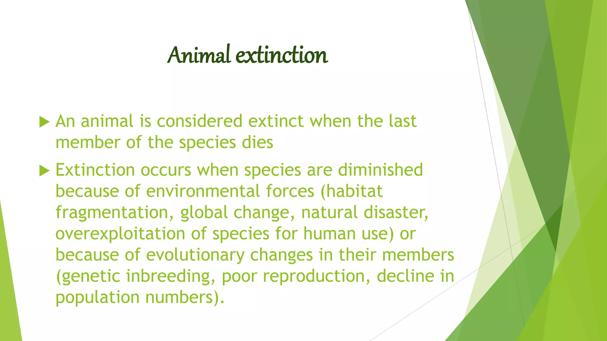 KIngdom animalia | PPTX