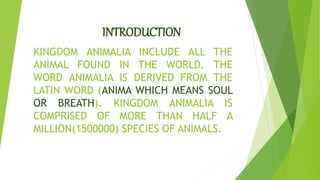 KIngdom animalia | PPTX