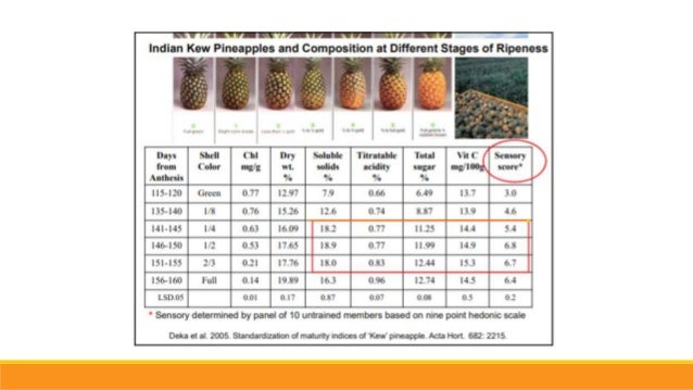 maturity indices of pineapple