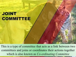 Organisational committee | PPTX