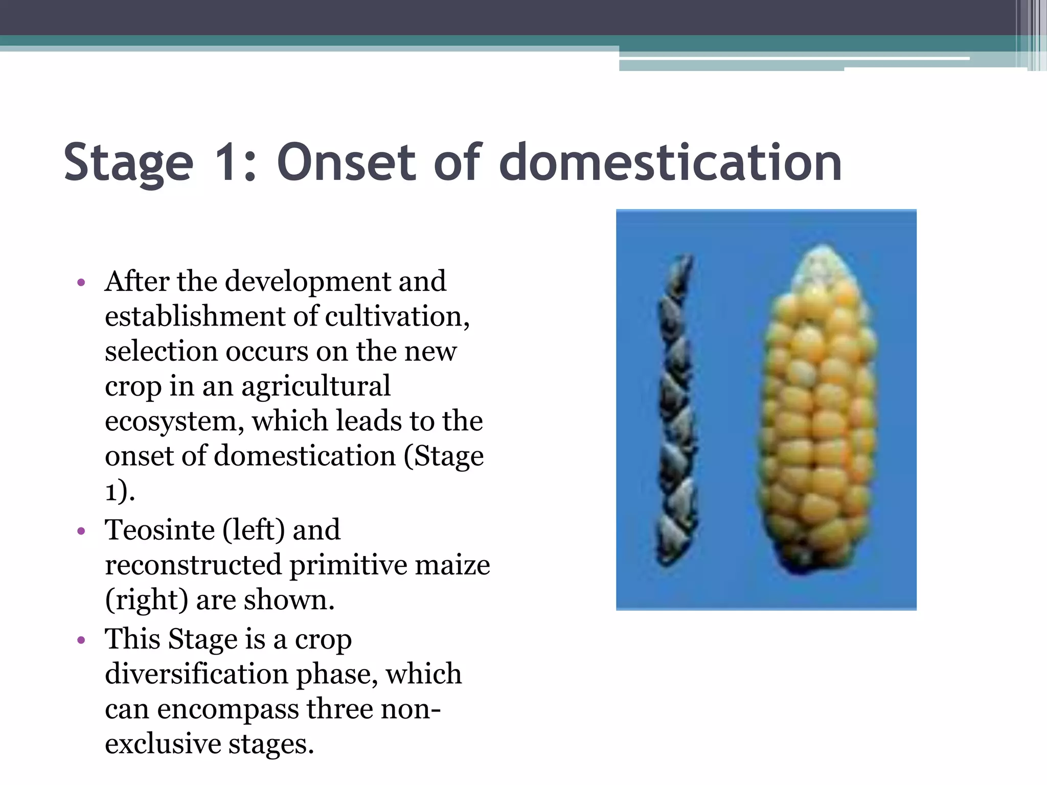 Evolution of crop species: Genetics of domestication and ...