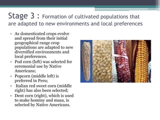 Evolution of crop species: Genetics of domestication and ...