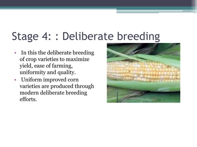 Evolution of crop species: Genetics of domestication and ...