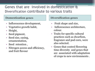 Evolution of crop species: Genetics of domestication and ...