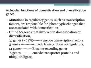 Evolution of crop species: Genetics of domestication and ...