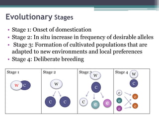 Evolution of crop species: Genetics of domestication and ...
