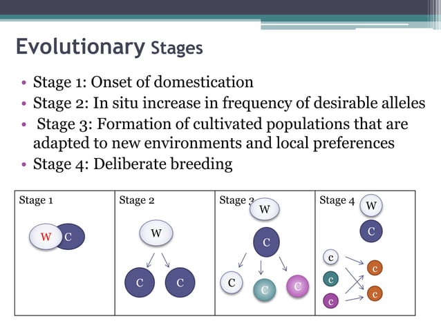 Evolution of crop species: Genetics of domestication and ...