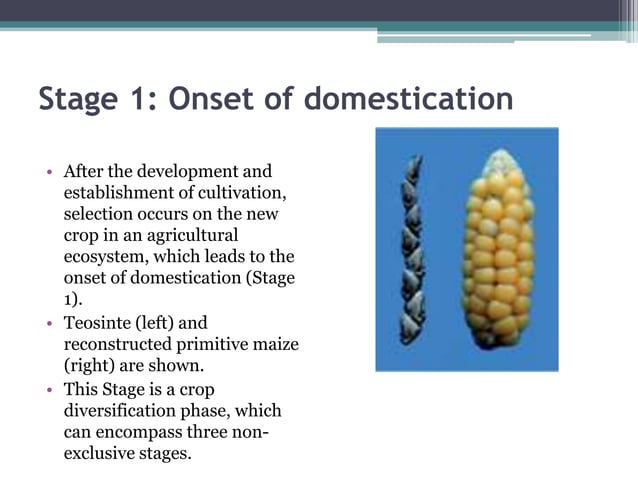 Evolution of crop species: Genetics of domestication and ...