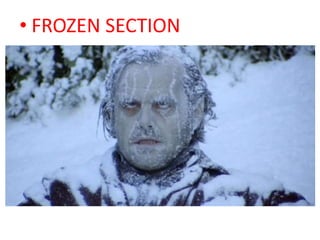 Optimising multidisciplinary practice in breast CNB and frozen section ...