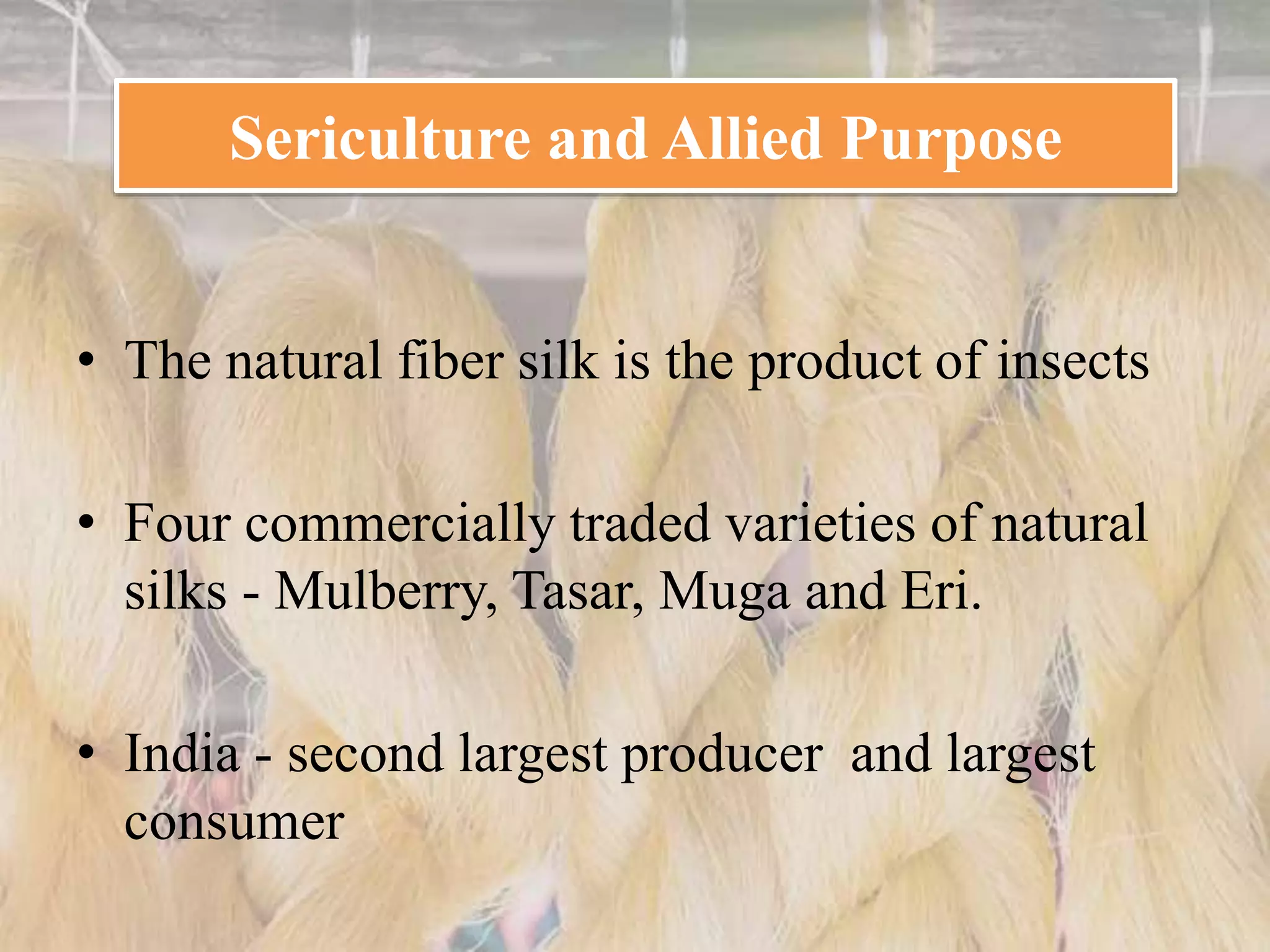 insect - a marketable commodity | PPTX