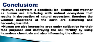 Natural and Agriculture Ecosystem | PPTX