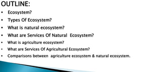 Natural and Agriculture Ecosystem | PPTX