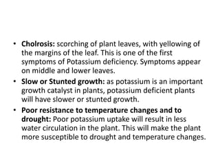 ECOLOGY & PHYSIOLOGY OF POTASSIUM & NITROGEN | PPTX