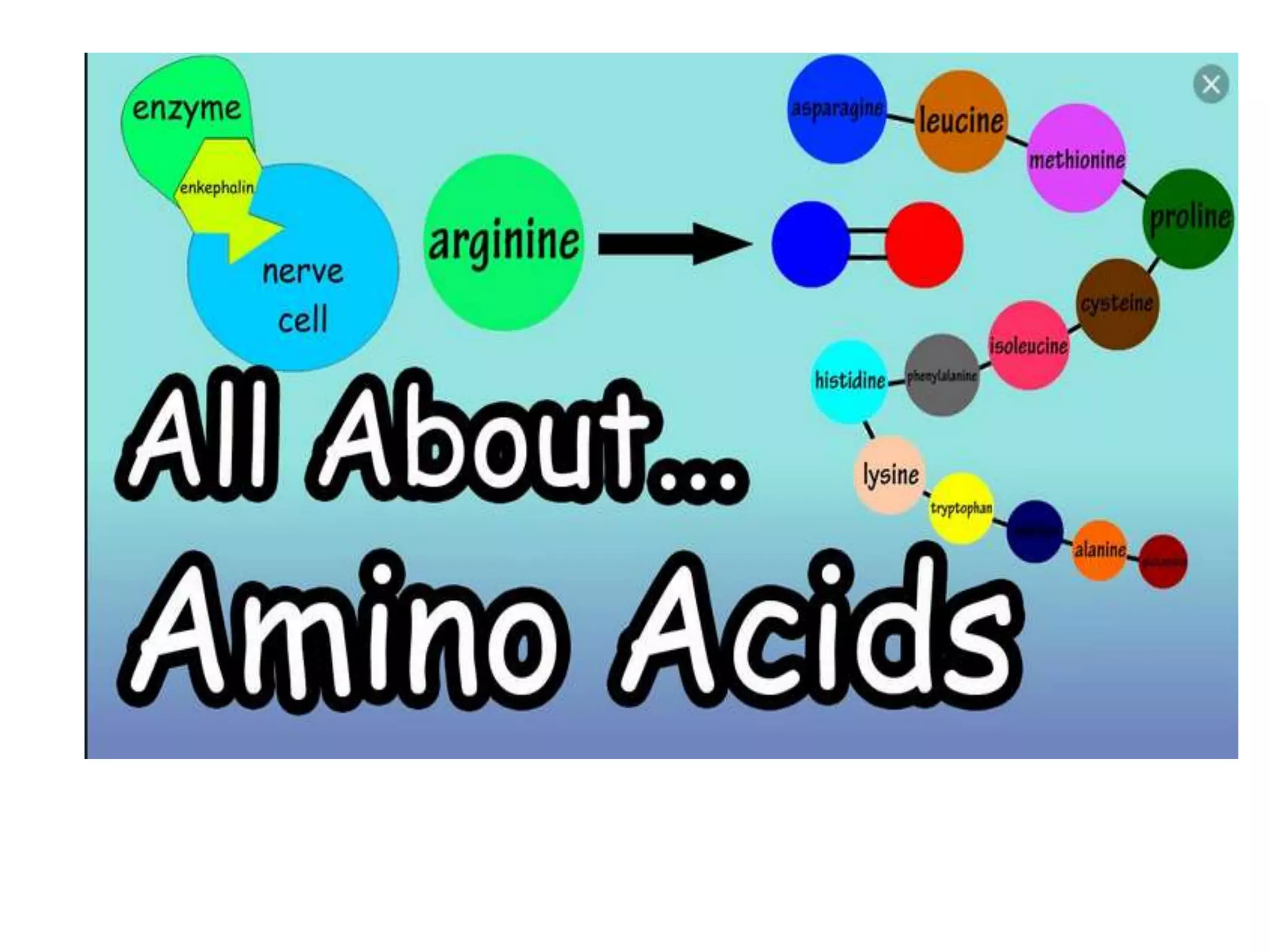 Amino Acids | PPT