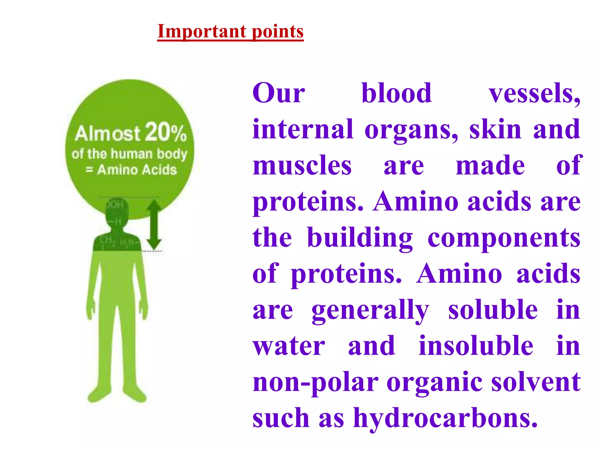 Amino Acids | PPT