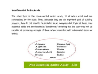 Amino Acids | PPT