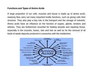 Amino Acids | PPT