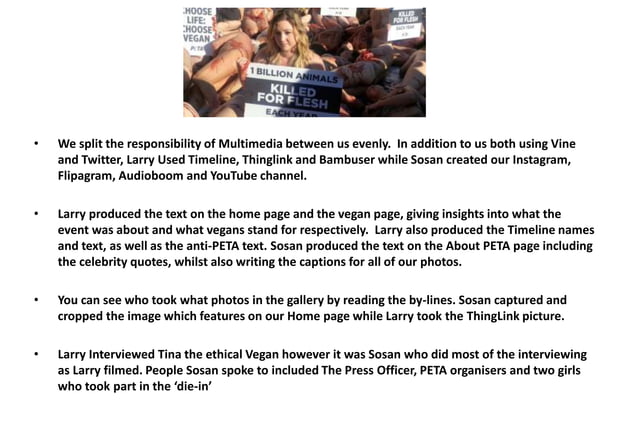 Assignment 1- PETA | PPTX | Social Networking | Internet