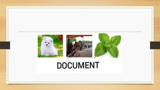 Connection game Round name Technical words Presentation1-2.pptx