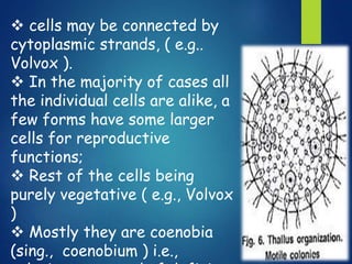 Presentation1 | PPTX