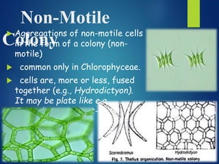 Presentation1 | PPTX
