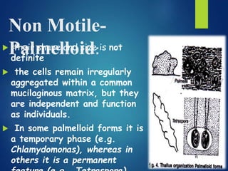 Presentation1 | PPTX