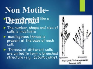 Presentation1 | PPTX